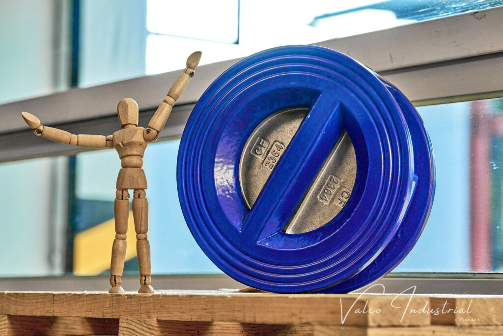 Válvulas de Retención Doble Disco (DUO CHECK) Serie 5116 | VALCO INDUSTRIAL